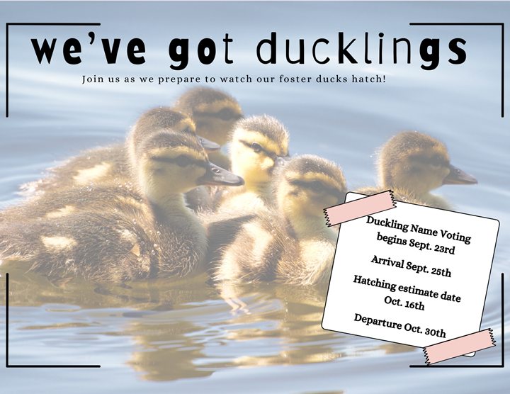 Beaver County PA Library - Beaver County Library System